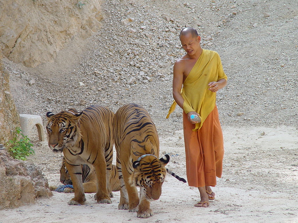 The Tiger Temple