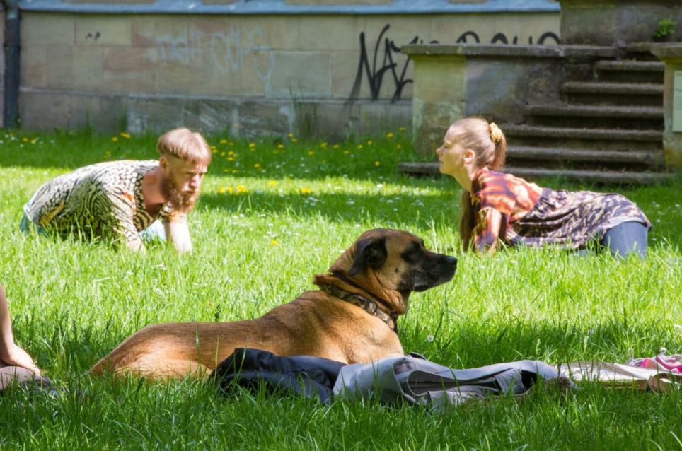 These Actors Specialize in Theatrical Performances for Pets