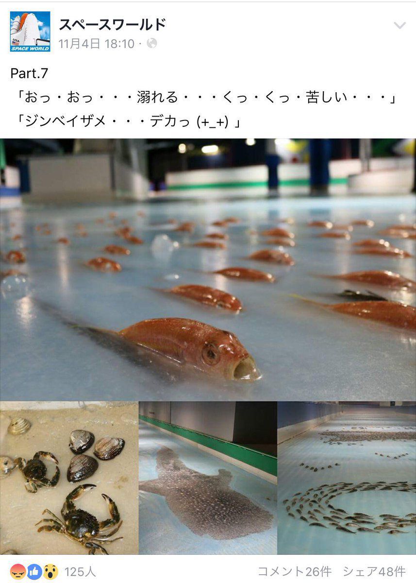 Japanese Skating Rink Freezes 5,000 Marine Creatures in Ice as ...