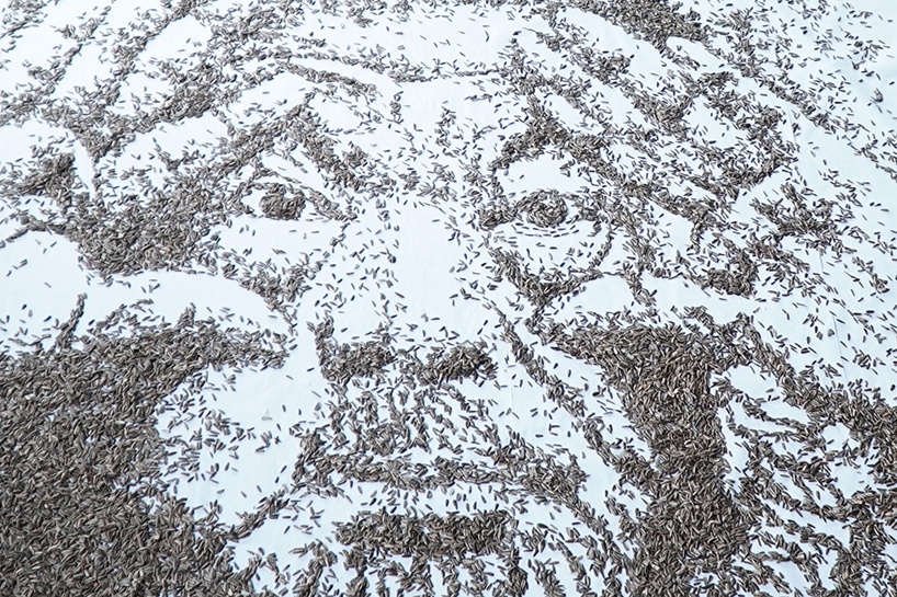 Artist Creates Detailed Portrait with 20,000 Sunflower Seeds