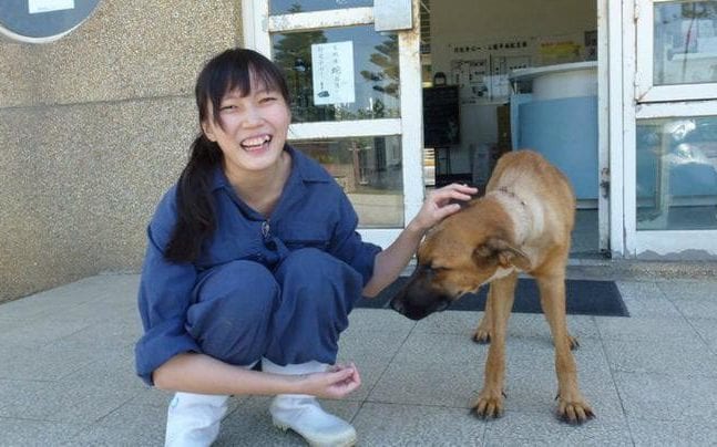 The Tragic Story of a Taiwanese Vet Who Euthanized Herself After Having ...