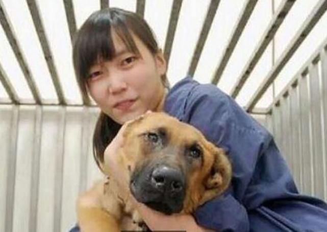 The Tragic Story of a Taiwanese Vet Who Euthanized Herself After Having ...