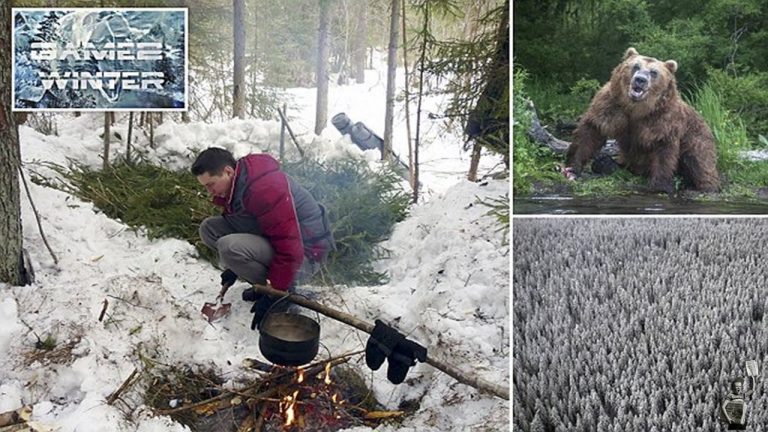 Russian Millionaire Announces Real-Life Hunger Games TV Show Where ...