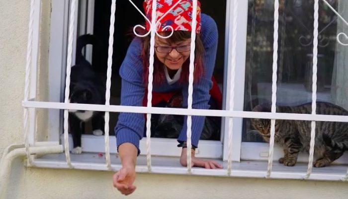 Turkish Feline Lover Installs Tiny Window Ladder to Help Stray Cats ...