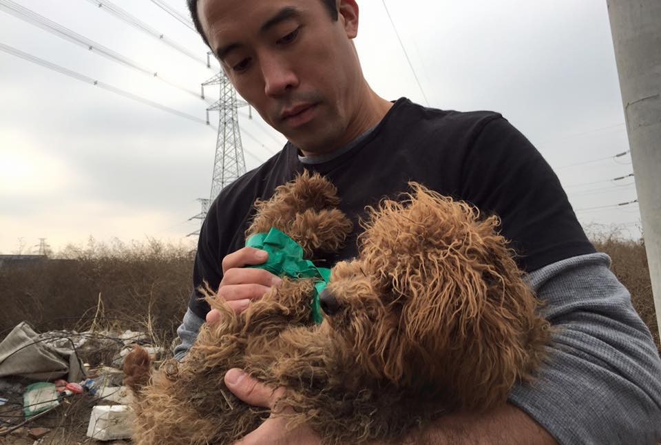 Successful Businessman Risks His Life to Save Thousands of Dogs from ...