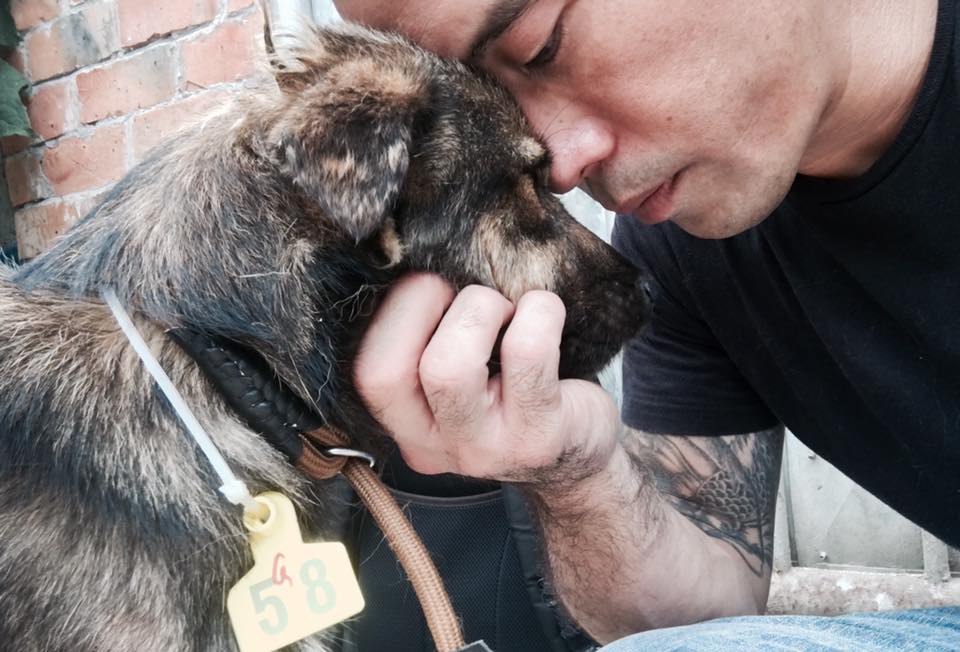 Successful Businessman Risks His Life to Save Thousands of Dogs from ...