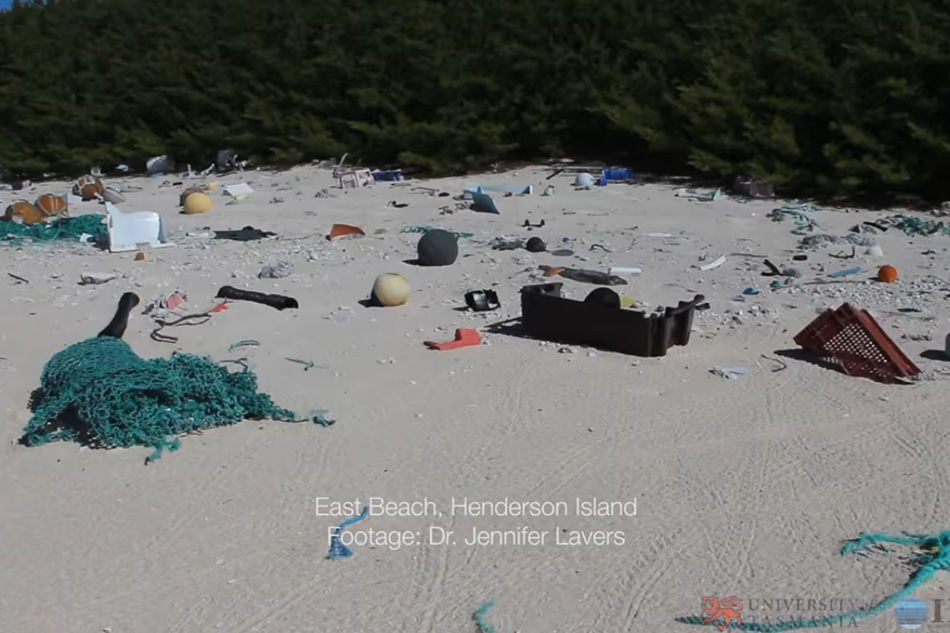 This Uninhabited Tropical Island Has the World's Highest Density of ...