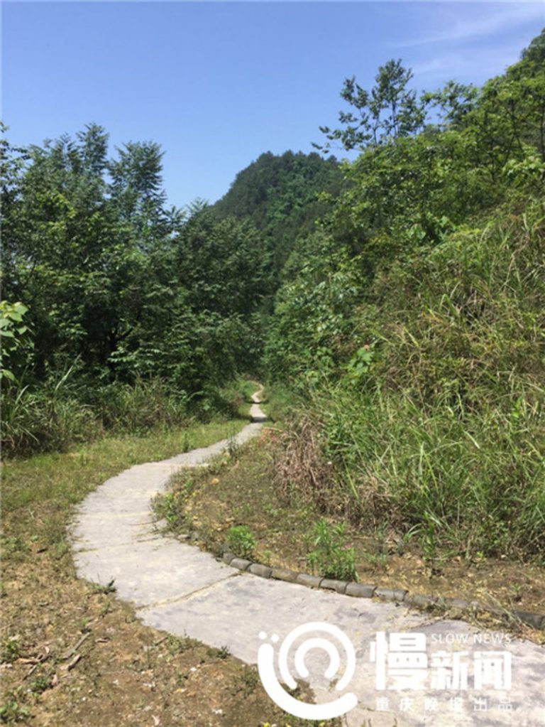 Disabled Pensioner Dedicates His Life to Building Secure Mountain Roads ...