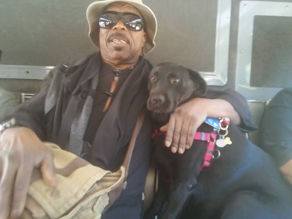 Meet Eclipse, Seattle's Famous Solo Bus Riding Canine