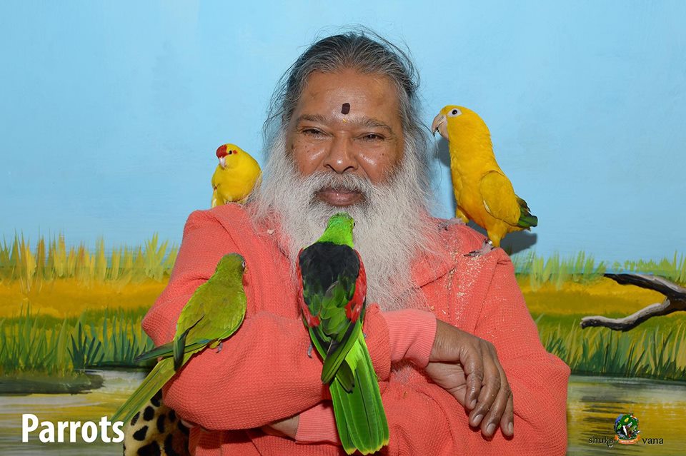 Lord of the Birds – Indian Man Dedicates His Life to Saving Endangered ...
