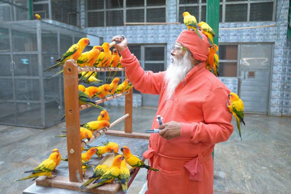 Lord of the Birds – Indian Man Dedicates His Life to Saving Endangered ...