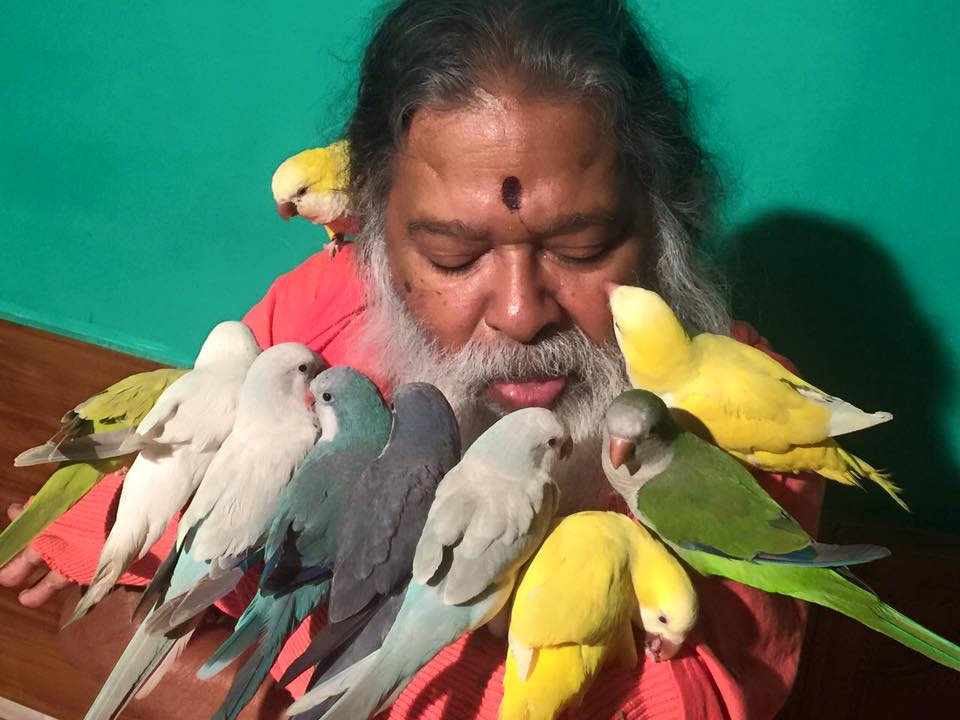 Lord of the Birds – Indian Man Dedicates His Life to Saving Endangered ...