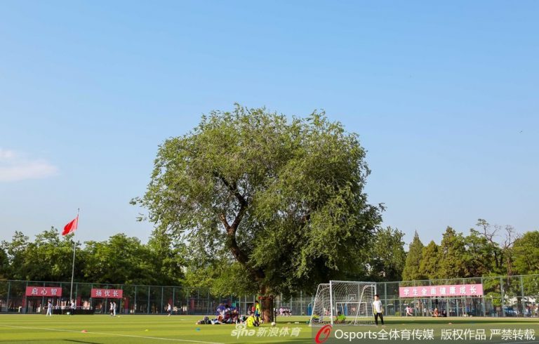 Chinese School's Football Field Has a Tree Growing in the Middle of It