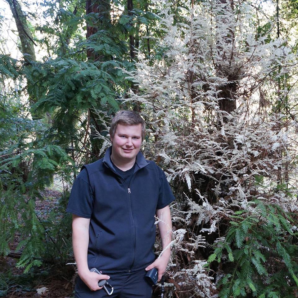 The Mysterious Albino Redwood Trees Defying the Laws of Nature
