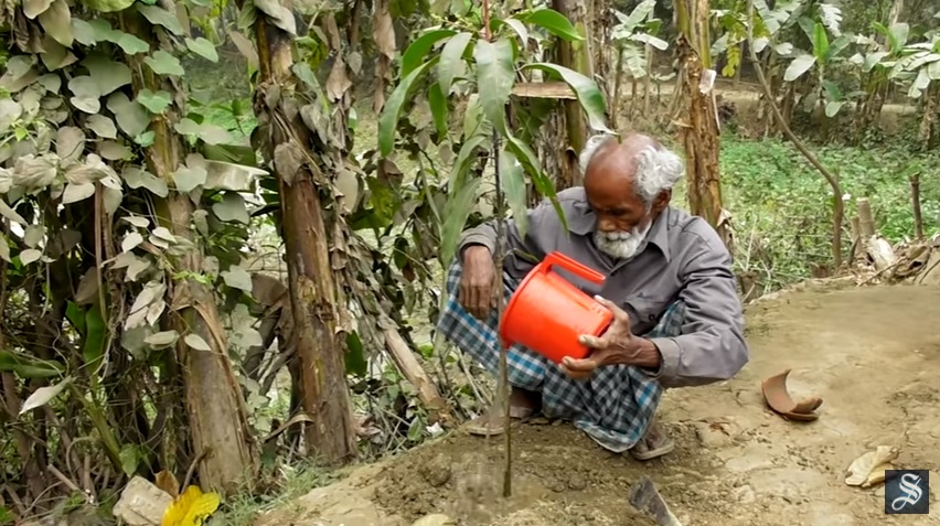 The "Forest Man of Bangladesh" Has Been Planting a Tree Every Day for ...