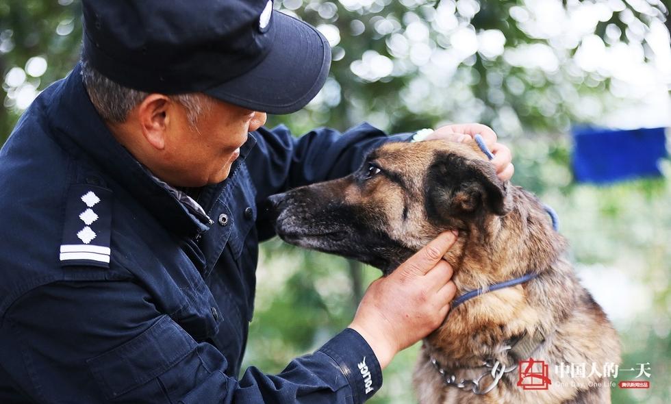 Chinese Cop Sets Up Retirement Home for His Old Police Dogs