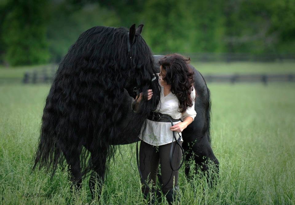 Meet Frederick The Great, Unofficially the World's Most Handsome Stallion