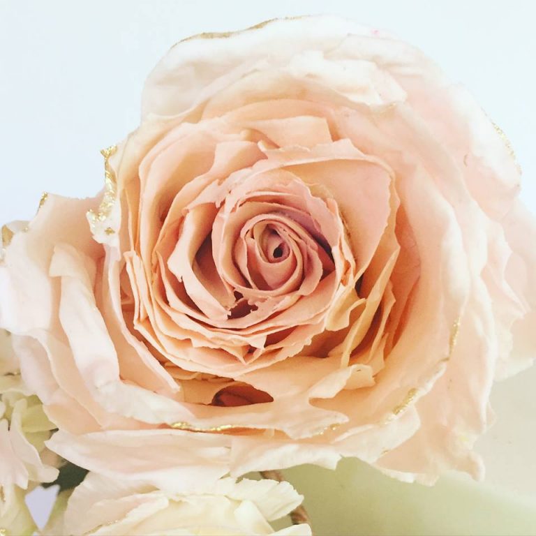 Cake Designer Creates the Most Realistic Edible Flowers