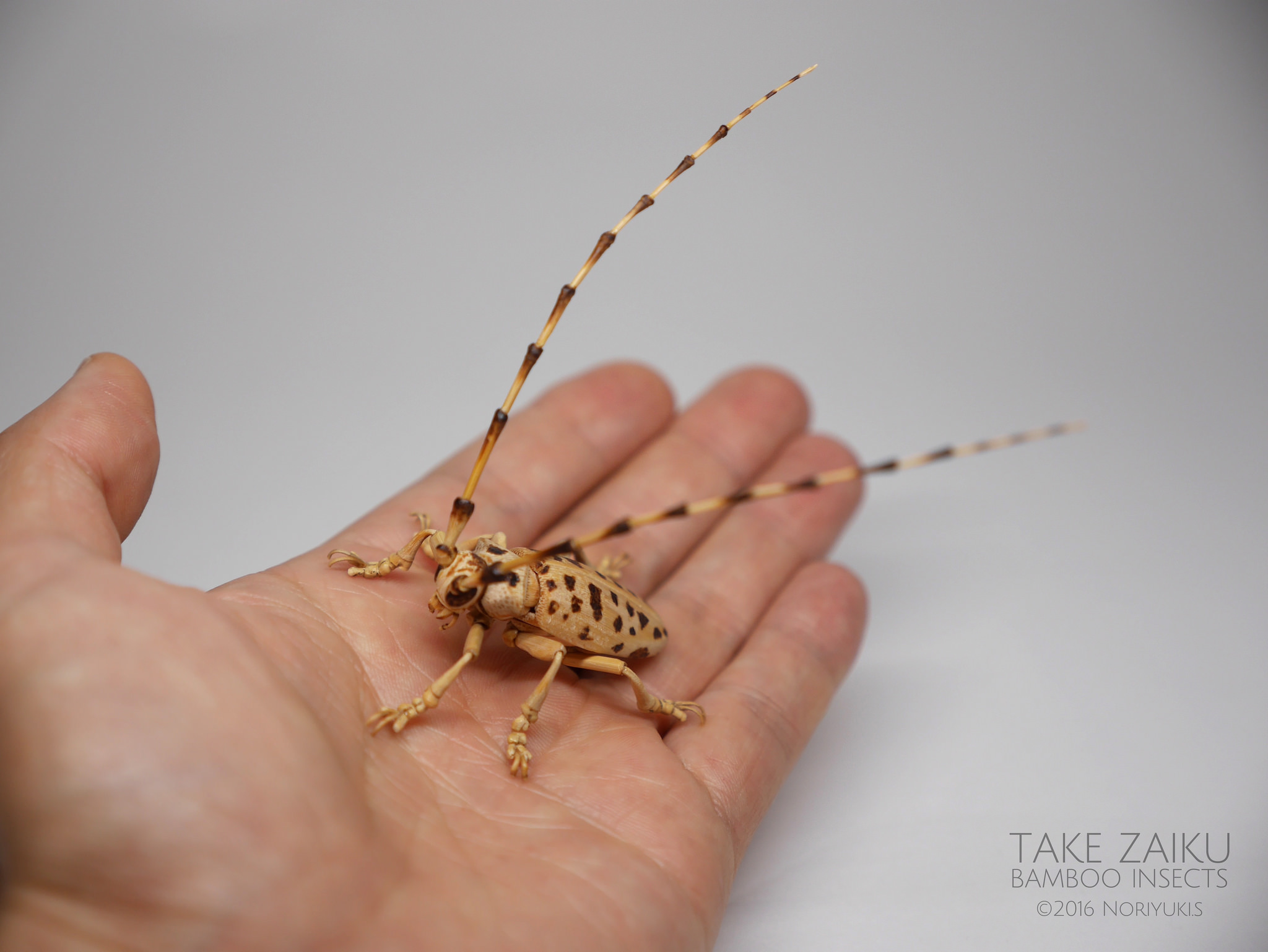 Insanely Talented Artist Creates Life-Size Insects Exclusively Out of ...