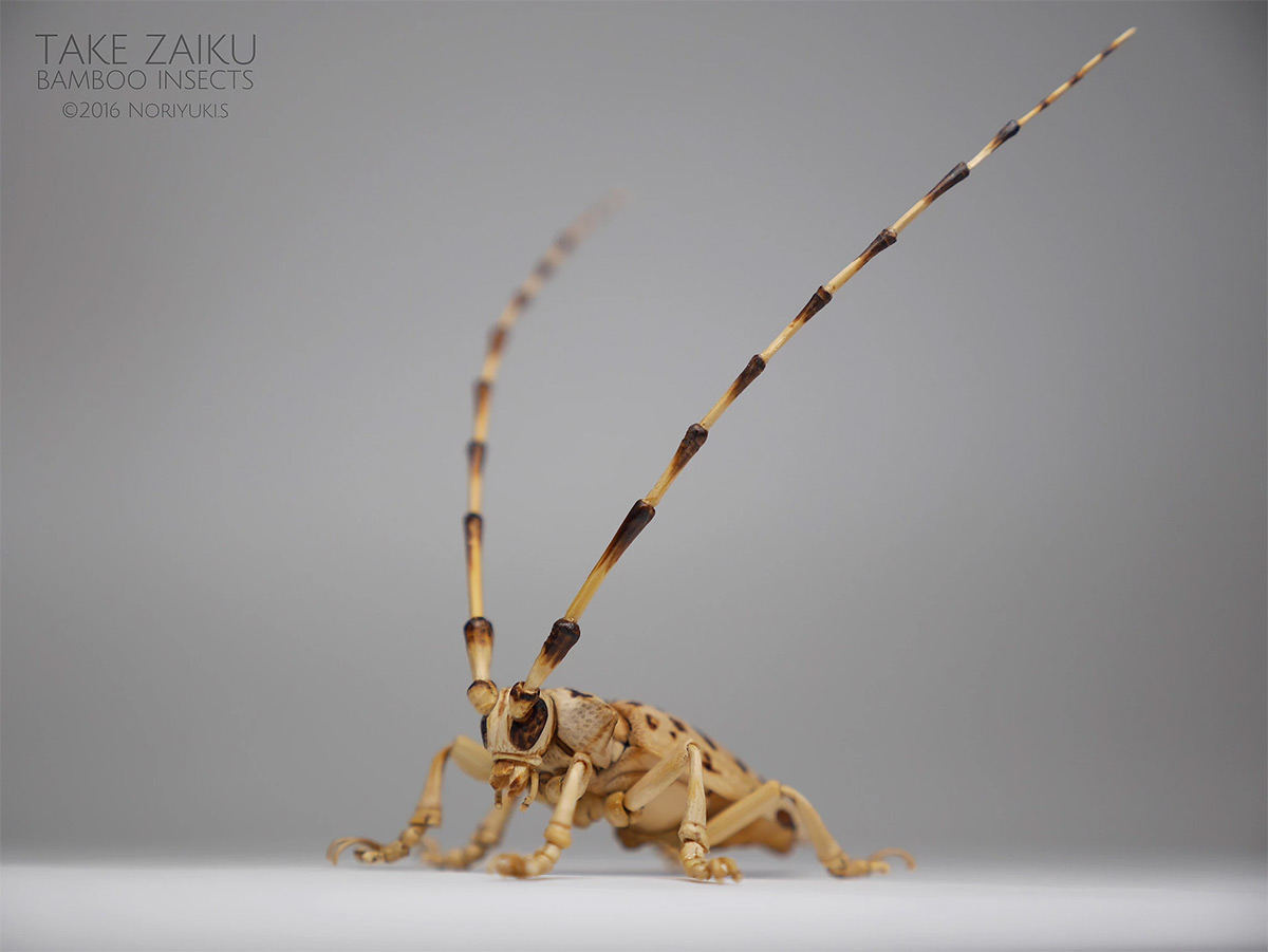 Insanely Talented Artist Creates Life-Size Insects Exclusively Out of ...