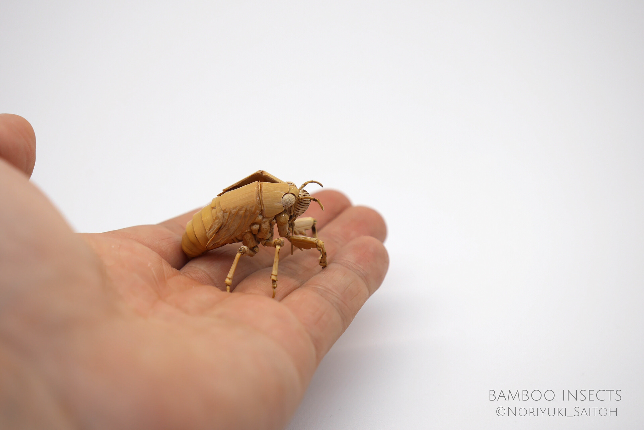 Insanely Talented Artist Creates Life-Size Insects Exclusively Out of ...
