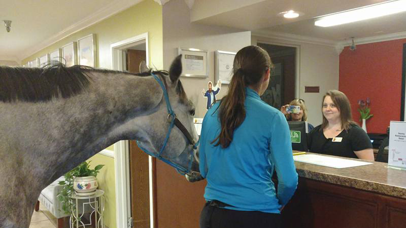 Woman Checks Her Full-Grown Horse into Kentucky Hotel Room