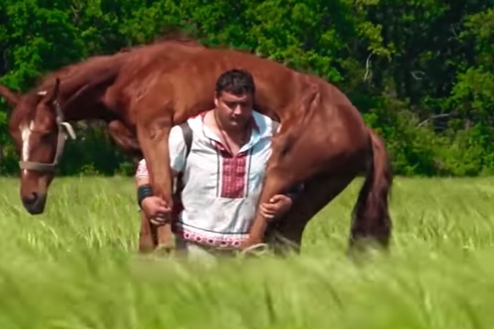 Ukrainian Strongman Makes a Name for Himself by Carrying Horses on His Back