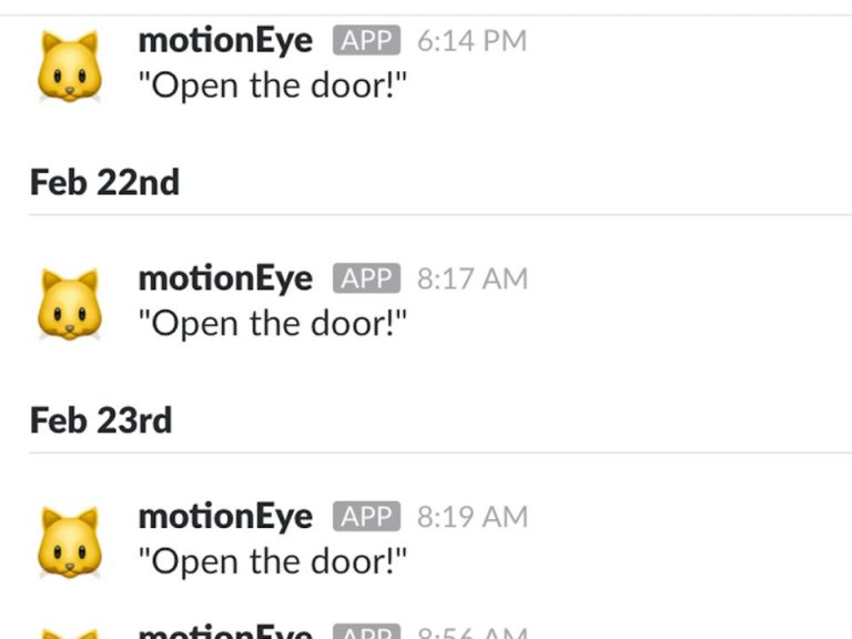 Dutch Engineer Builds Face-Recognition Gadget for His Cat