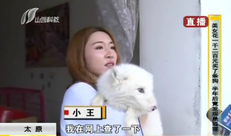 Woman Discovers That the Fluffy White Puppy She Bought a Year Ago Is ...