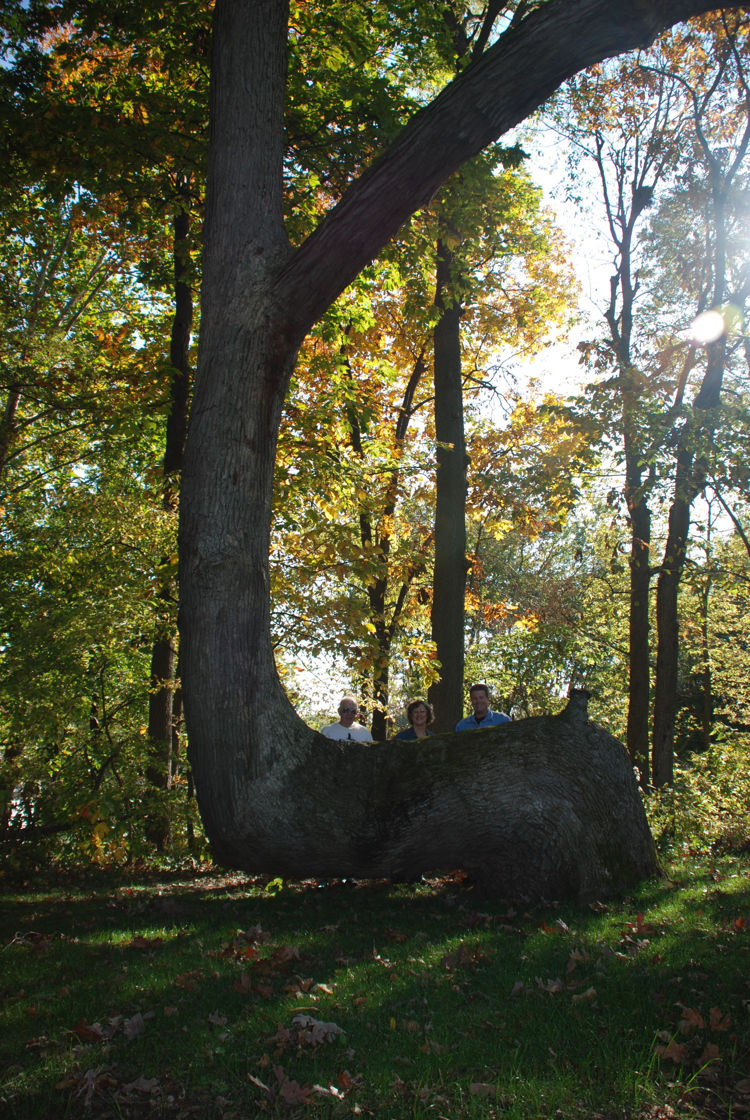 The Mysterious Bent Trees of North America