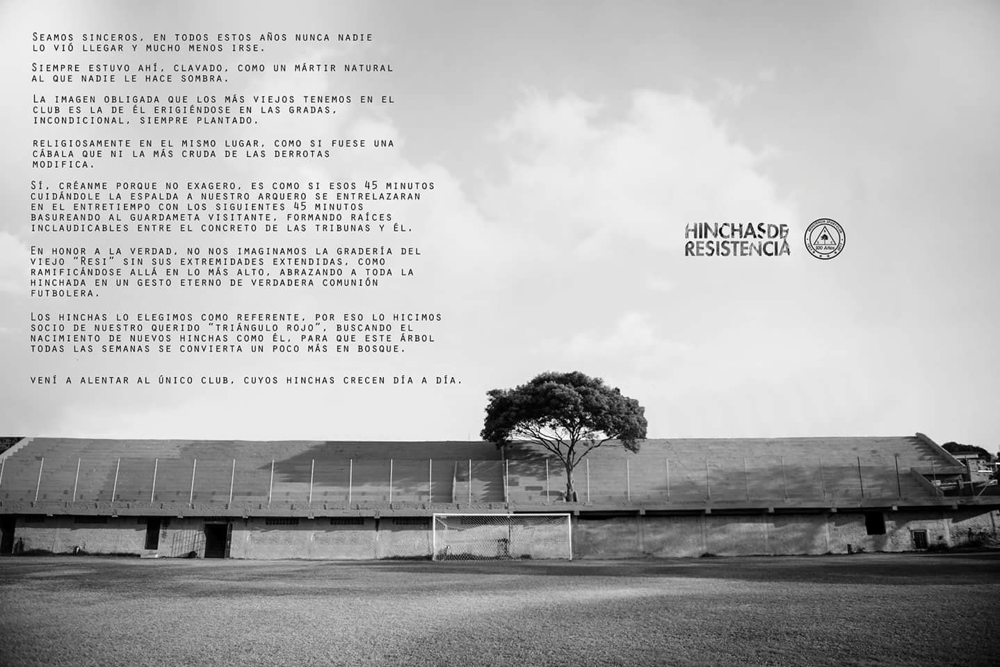 Tree Growing in the Stands of a Football Stadium Is Local Team's Most ...