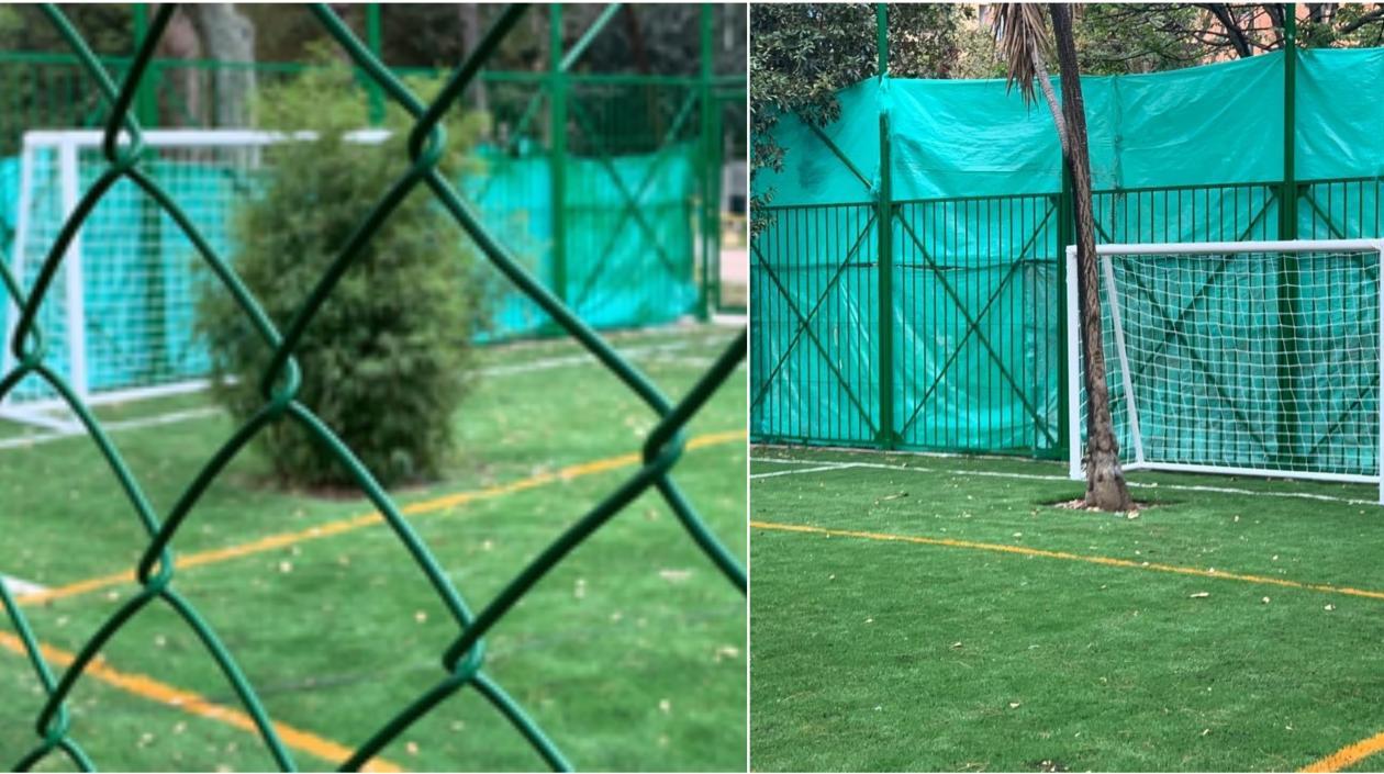 Colombian Soccer Field Has Two Living Trees as Goalkeepers