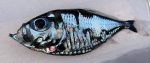 "Picasso Fish" Goes Viral for Looking Like a Real-Life Painting