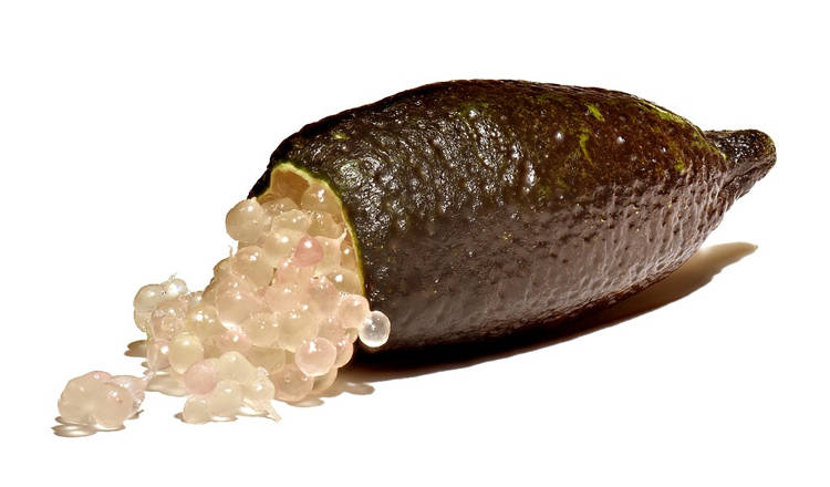 Finger Lime - The Rare and Super Expensive Caviar of Citrus