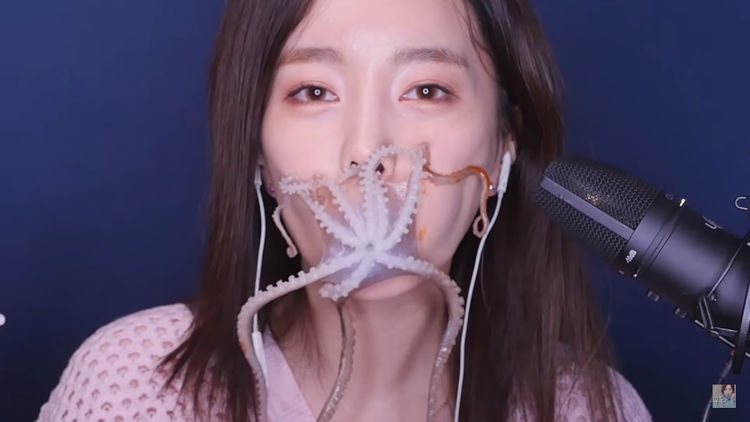 ASMR YouTuber Sparks Outrage with Videos of Herself Eating Live Seafood