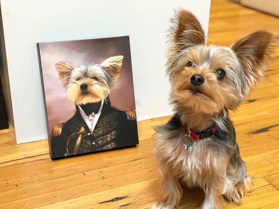 This Company Creates Awesome Portraits of Your Pets as Lords