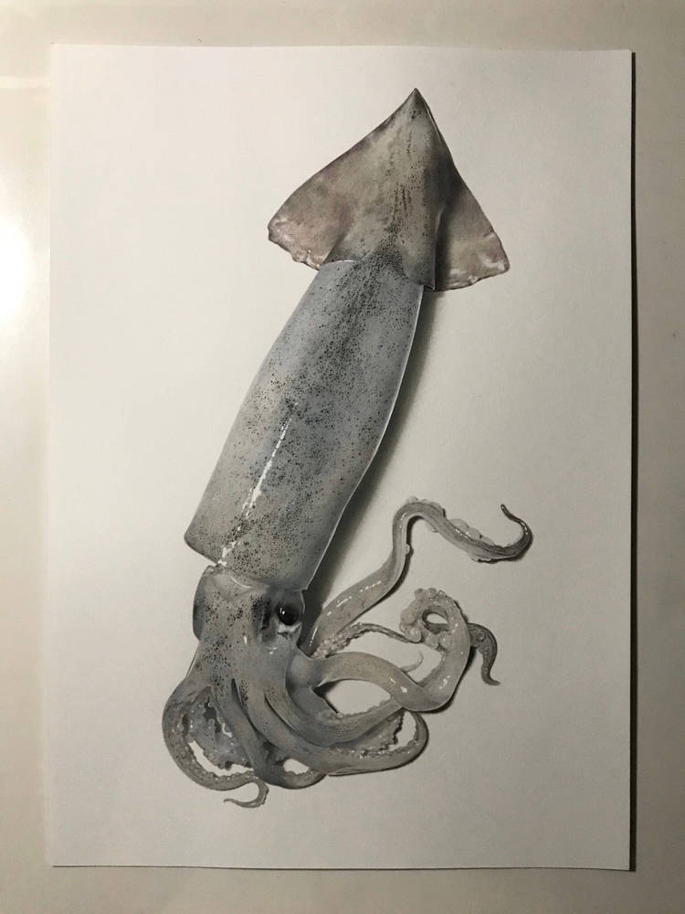 Talented Illustrator Creates Mind-Blowing 3D Drawing of a Squid