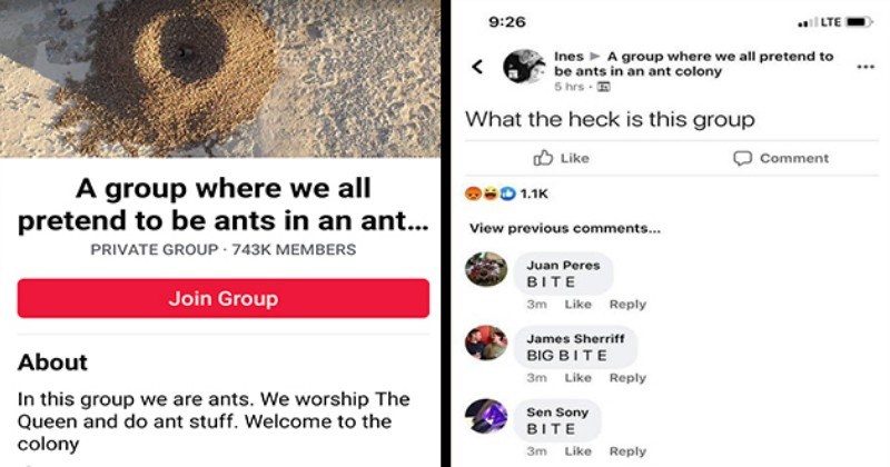 Over 1.8 Million People Join Facebook Group Where Everyone Pretends ...