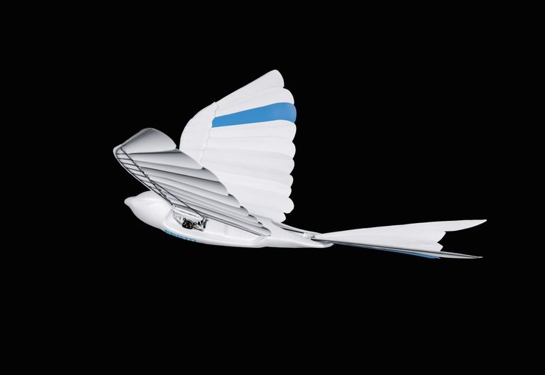 Bio Swift - A Robot Swift That Flies Just Like the Real Bird