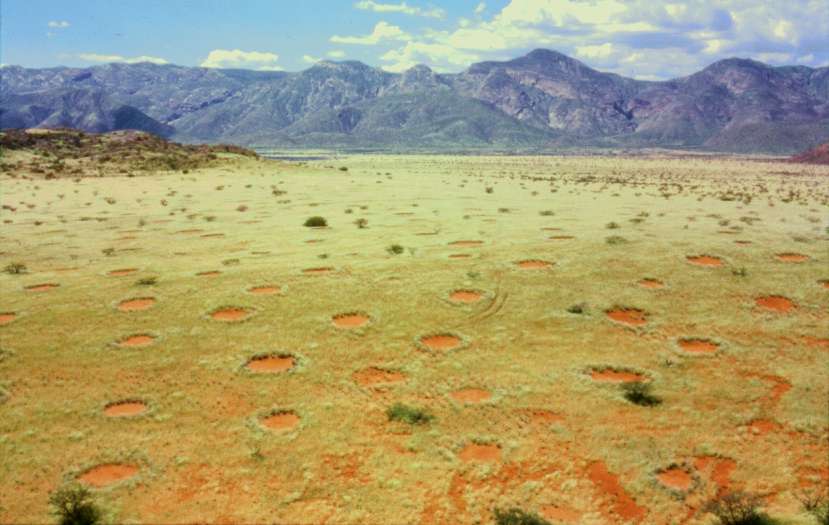 The Mysterious 'Fairy Circles' of Namibia