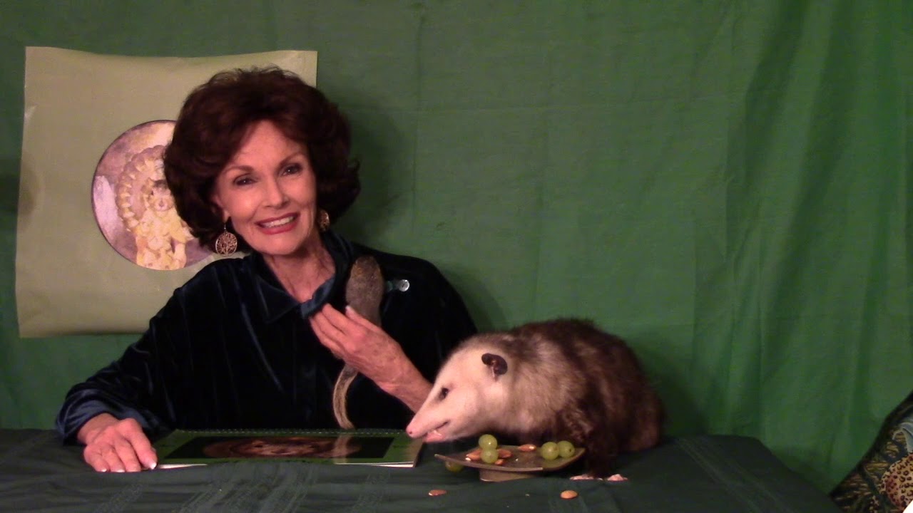 Meet the Mysterious 'Opossum Lady' of YouTube