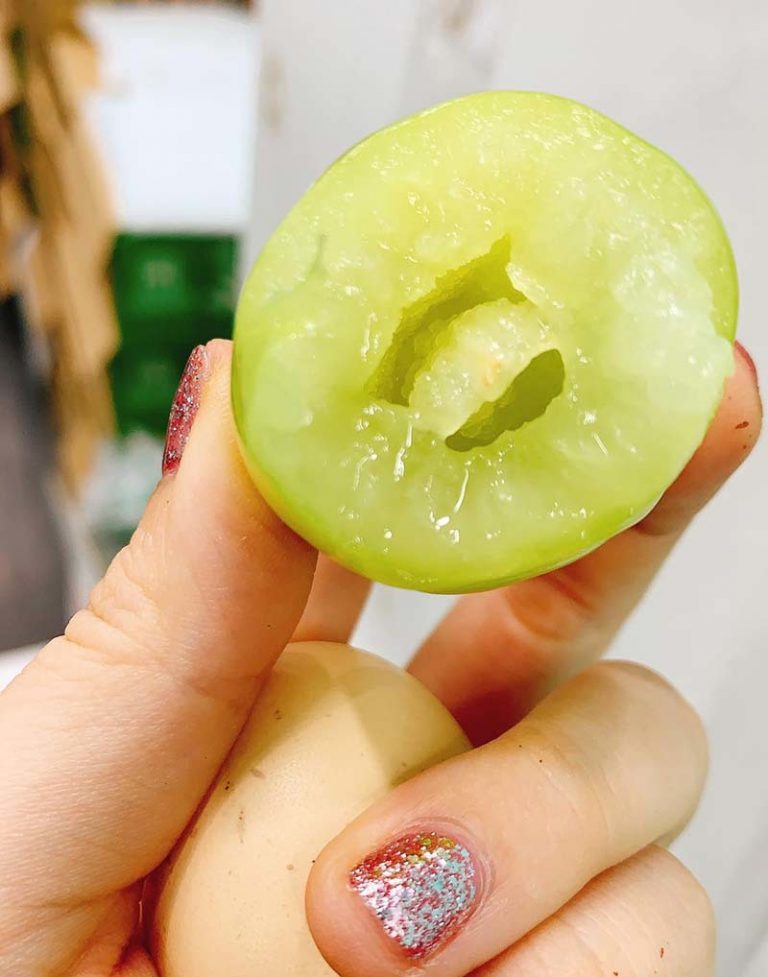 Rare Grape Variety Is Larger Than a Chicken Egg