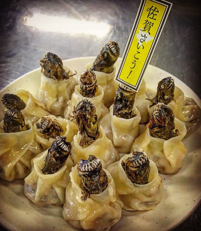 Alien Dumplings – A Downright Scary-Looking Dish
