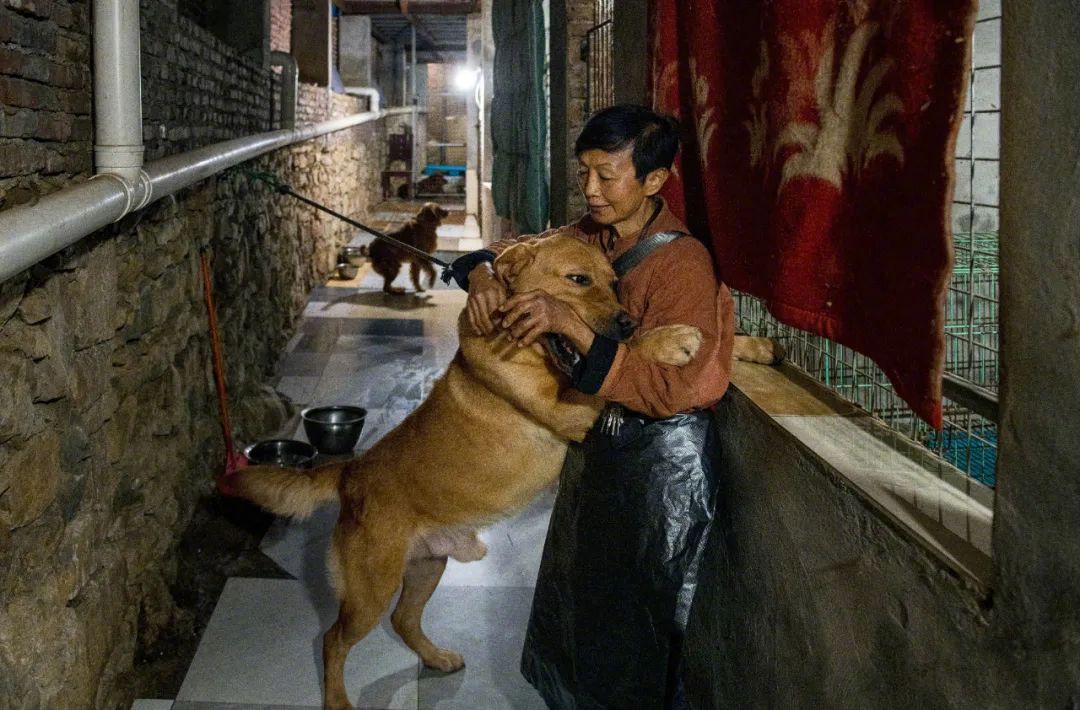 Woman Shares Her Home With 1,300 Dogs, 100 Cats and Four Horses