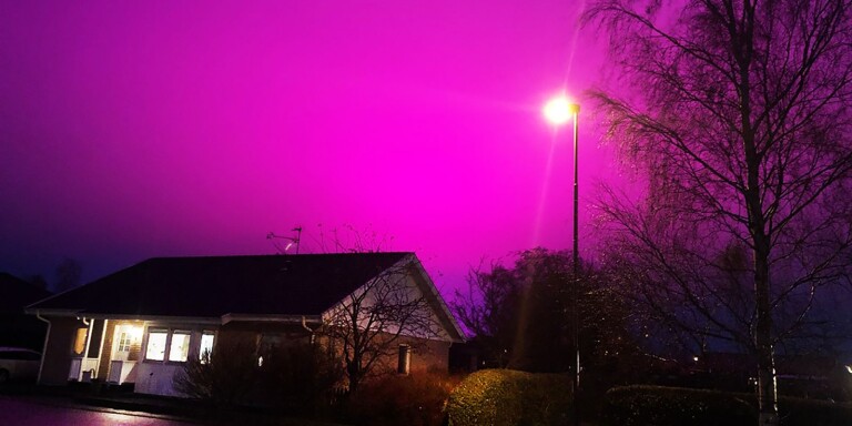 Light Purple Sky