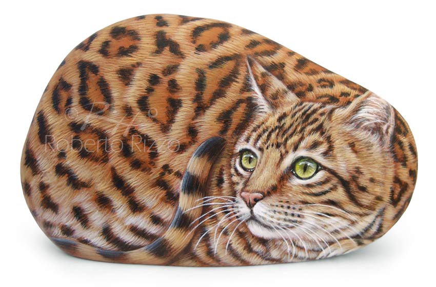 The Beautifully Painted Stones of Roberto Rizzo