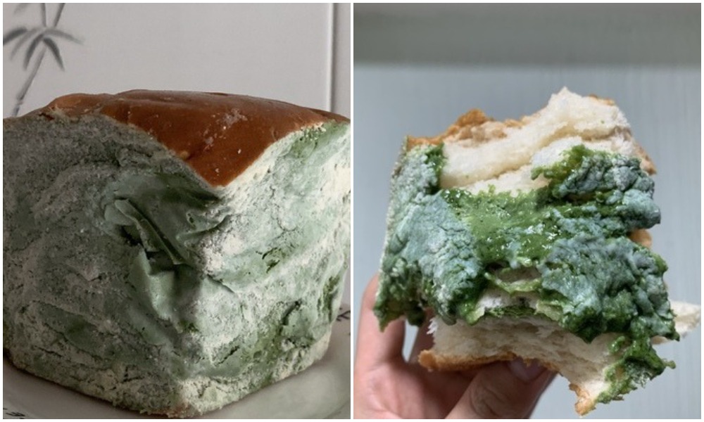 This Moldy-Looking Bun Is Actually a Creamy Delicacy