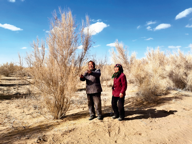 Retired Couple Have Been Fighting the Desert for Almost Two Decades