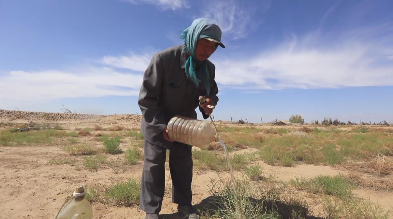 Retired Couple Have Been Fighting the Desert for Almost Two Decades