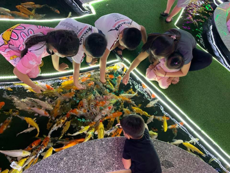 The Koi Fish Cafes of Ho Chi Minh City | Watercooler Topics | Before It ...